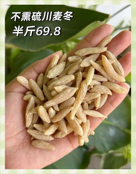 麦冬价格多少钱一斤_麦冬价格走势2024-第1张图片-山城妙识 麦冬价格多少钱一斤_麦冬价格走势2024-第1张图片-山城妙识