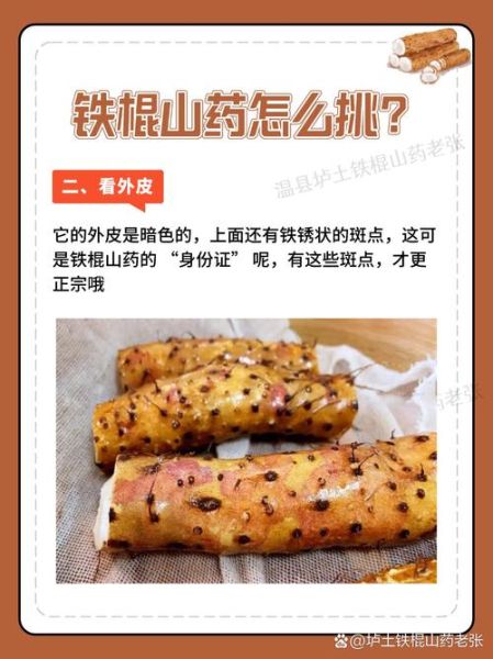 铁棍山药的功效与作用_孕妇能吃吗-第1张图片-山城妙识 铁棍山药的功效与作用_孕妇能吃吗-第1张图片-山城妙识