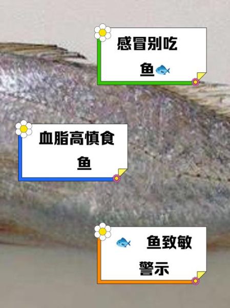 鮸鱼的功效与作用_鮸鱼怎么吃最营养-第2张图片-山城妙识