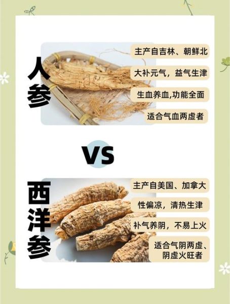 人参和西洋参的区别_哪个更适合日常养生-第3张图片-山城妙识