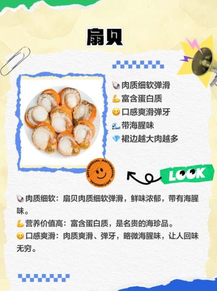 鲜贝怎么做好吃_鲜贝的营养价值有哪些-第1张图片-山城妙识