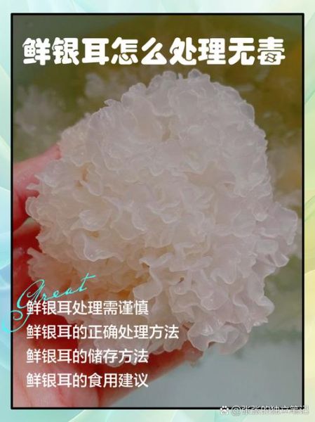鲜银耳的做法大全_鲜银耳的功效与作用-第2张图片-山城妙识