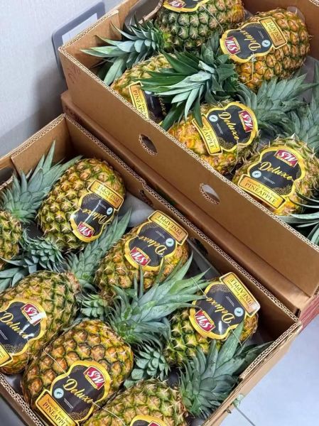 黑椰子怎么打开_黑椰子怎么吃-第2张图片-山城妙识