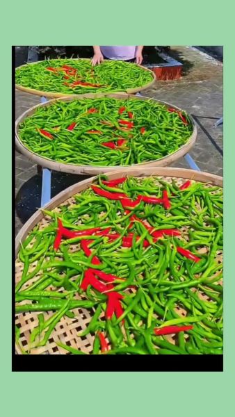 辣白菜料怎么做_正宗配方比例是多少-第1张图片-山城妙识