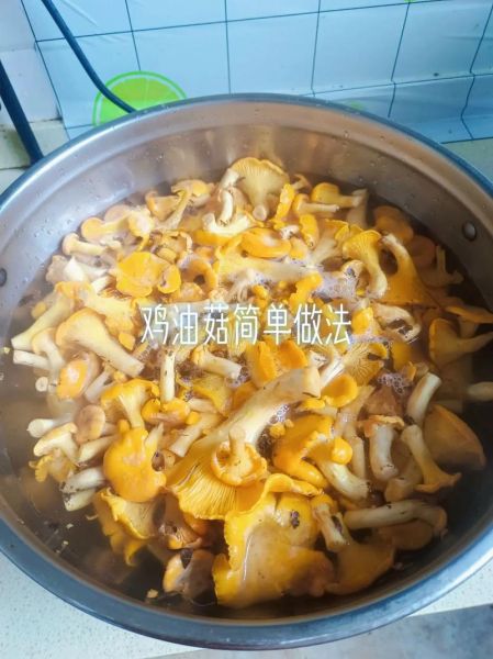 鸡油菌怎么吃_鸡油菌的做法大全-第1张图片-山城妙识