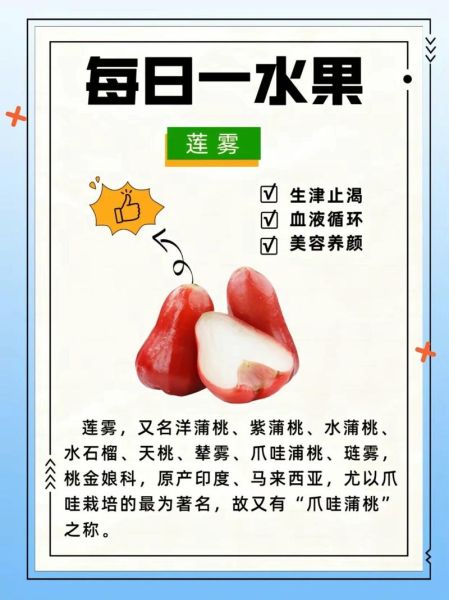 莲雾怎么挑选_莲雾图片大全-第3张图片-山城妙识