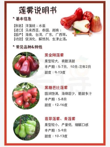 莲雾怎么挑选_莲雾图片大全-第1张图片-山城妙识