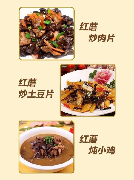 红蘑怎么做好吃_红蘑产地在哪里-第1张图片-山城妙识