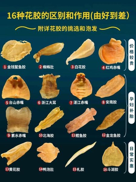 鳘鱼胶多少钱一斤_鳘鱼胶怎么辨别真假-第1张图片-山城妙识 鳘鱼胶多少钱一斤_鳘鱼胶怎么辨别真假-第1张图片-山城妙识