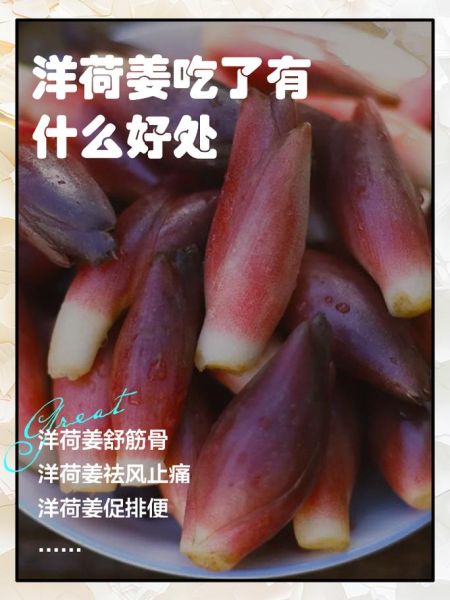 洋荷姜的功效与作用_洋荷姜怎么吃效果最好-第1张图片-山城妙识