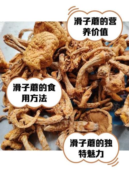 干滑子蘑功效与作用_干滑子蘑怎么吃最好-第1张图片-山城妙识