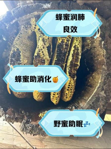 野生蜂蜜的功效与作用_野生蜂蜜能治病吗-第3张图片-山城妙识