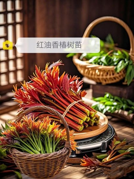 香椿树什么时候种最好_春季种植技巧-第3张图片-山城妙识