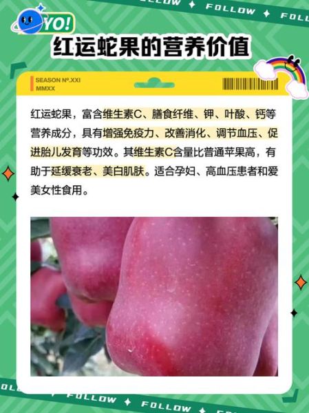 进口蛇果多少钱一斤_进口蛇果价格为什么差距大-第3张图片-山城妙识