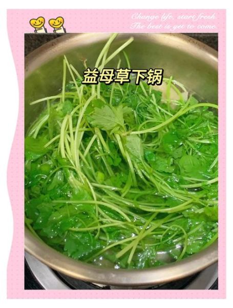 益母草怎么吃_益母草的正确吃法-第2张图片-山城妙识 益母草怎么吃_益母草的正确吃法-第2张图片-山城妙识