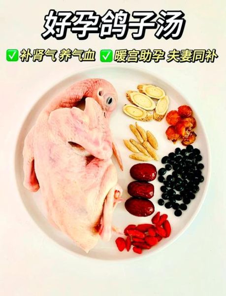 鸽子汤三不放_炖鸽子汤不能放什么-第2张图片-山城妙识
