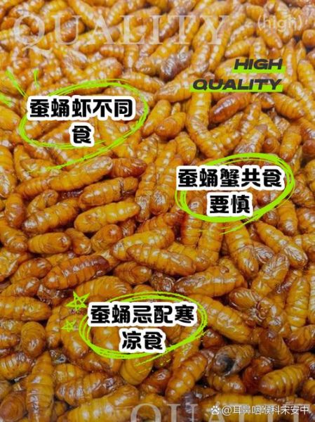 蚕蛹哪些人不能吃_蚕蛹禁忌人群有哪些-第3张图片-山城妙识