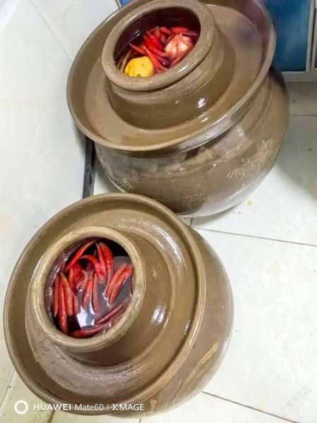 酸菜坛子小说哪里看_酸菜坛子作品顺序-第2张图片-山城妙识