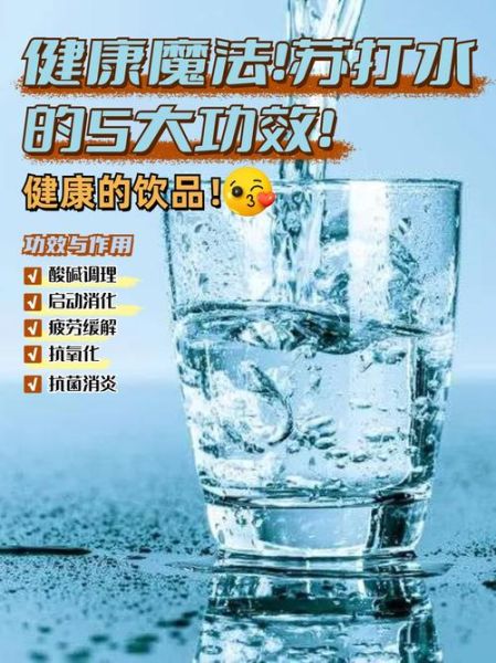 苏打水是什么_苏打水的作用与功效-第1张图片-山城妙识 苏打水是什么_苏打水的作用与功效-第1张图片-山城妙识