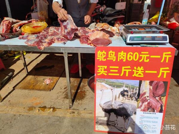 鸵鸟肉多少钱一斤_鸵鸟肉有哪些好处-第1张图片-山城妙识 鸵鸟肉多少钱一斤_鸵鸟肉有哪些好处-第1张图片-山城妙识
