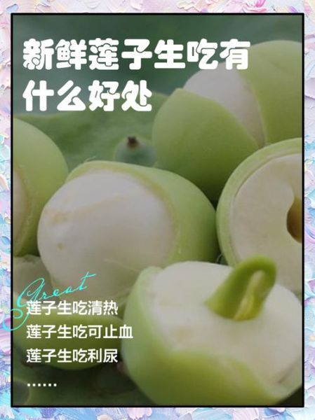 生吃莲子的功效与作用禁忌_哪些人不适合吃-第3张图片-山城妙识