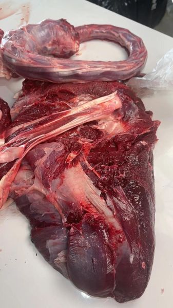 鸵鸟肉多少钱一斤_鸵鸟肉有哪些好处-第3张图片-山城妙识 鸵鸟肉多少钱一斤_鸵鸟肉有哪些好处-第3张图片-山城妙识