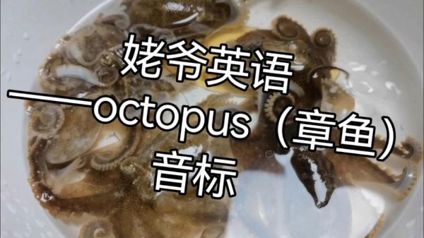 章鱼英语怎么读音_章鱼英语发音技巧-第1张图片-山城妙识