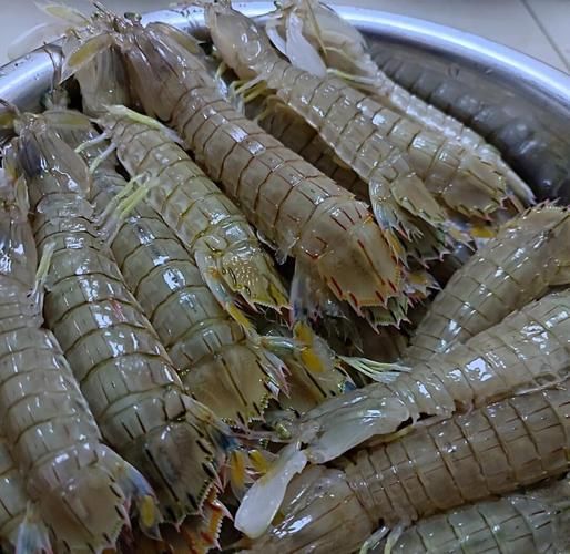虾爬子蒸还是煮好吃_哪种做法更鲜-第1张图片-山城妙识 虾爬子蒸还是煮好吃_哪种做法更鲜-第1张图片-山城妙识