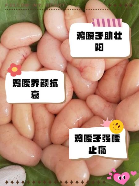 鸡腰子怎么炖汤壮阳_鸡腰子壮阳汤的做法-第2张图片-山城妙识 鸡腰子怎么炖汤壮阳_鸡腰子壮阳汤的做法-第2张图片-山城妙识