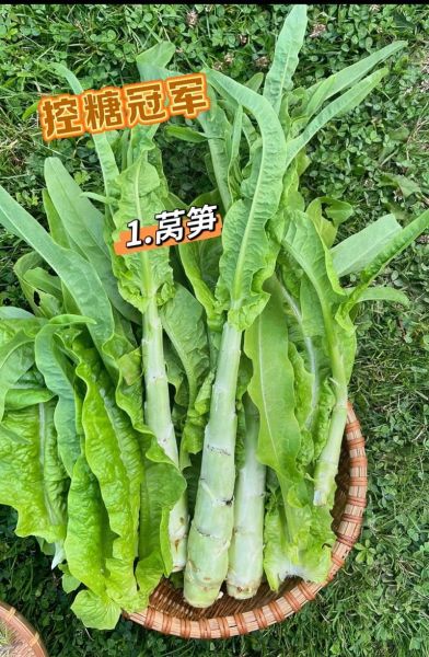 降血糖的蔬菜有哪些_八种食物降血糖蔬菜-第2张图片-山城妙识 降血糖的蔬菜有哪些_八种食物降血糖蔬菜-第2张图片-山城妙识