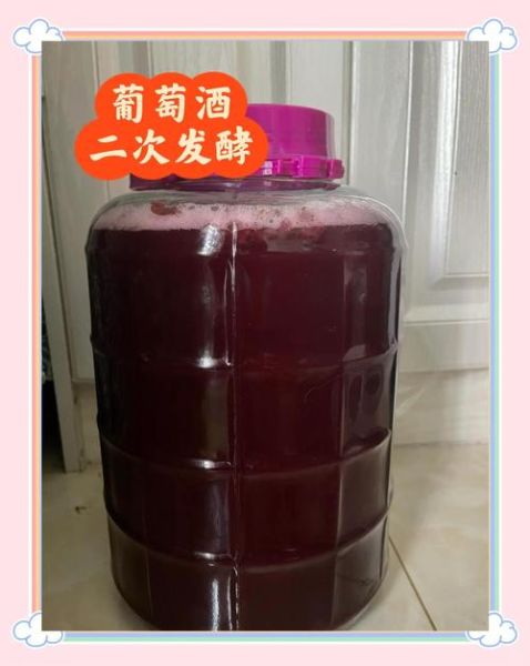 自酿葡萄酒能放多久_如何延长保存时间-第3张图片-山城妙识