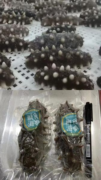 长岛海参60头一斤价格_多少钱一斤-第3张图片-山城妙识