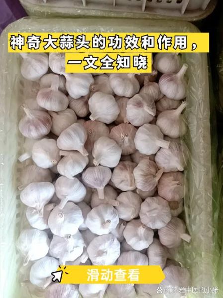 大蒜头和大蒜有什么区别_哪个更好吃-第1张图片-山城妙识 大蒜头和大蒜有什么区别_哪个更好吃-第1张图片-山城妙识