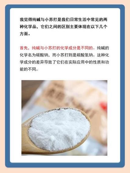 碳酸钠俗称是什么_纯碱与苏打区别在哪-第1张图片-山城妙识 碳酸钠俗称是什么_纯碱与苏打区别在哪-第1张图片-山城妙识