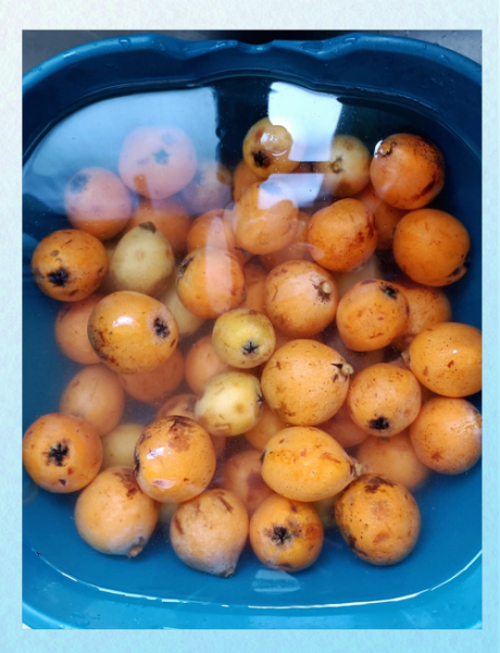 枇杷膏保质期多久_自制枇杷膏能放多久-第3张图片-山城妙识 枇杷膏保质期多久_自制枇杷膏能放多久-第3张图片-山城妙识