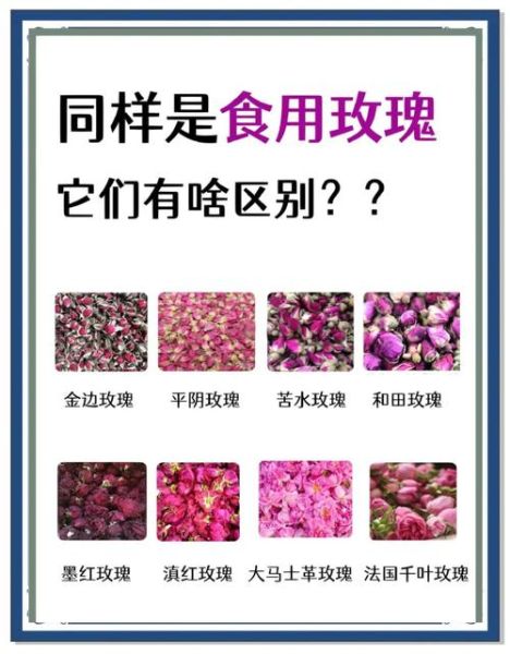 食用玫瑰花有哪些功效_如何挑选优质食用玫瑰-第2张图片-山城妙识 食用玫瑰花有哪些功效_如何挑选优质食用玫瑰-第2张图片-山城妙识