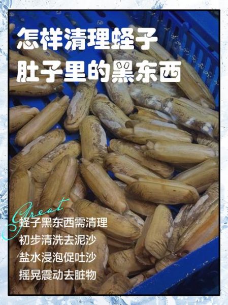 竹蛏子怎么清理内脏_竹蛏子内脏清理方法-第1张图片-山城妙识