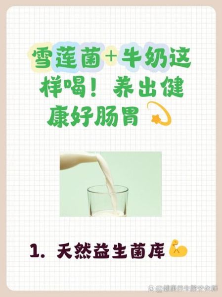 雪莲菌泡牛奶的正确方法_雪莲菌牛奶发酵多久-第2张图片-山城妙识 雪莲菌泡牛奶的正确方法_雪莲菌牛奶发酵多久-第2张图片-山城妙识