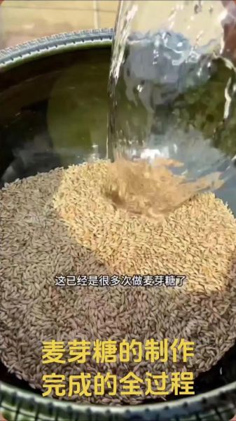 麦芽糖怎么做_麦芽糖的做法步骤-第1张图片-山城妙识