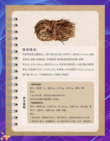 鸡骨草和什么相克_鸡骨草不能和什么一起吃-第2张图片-山城妙识