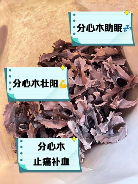 核桃分心木泡水_有什么功效与禁忌-第3张图片-山城妙识