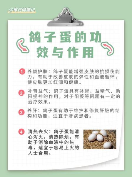 鸽子蛋怎么吃最好_鸽子蛋一天吃几个合适-第3张图片-山城妙识