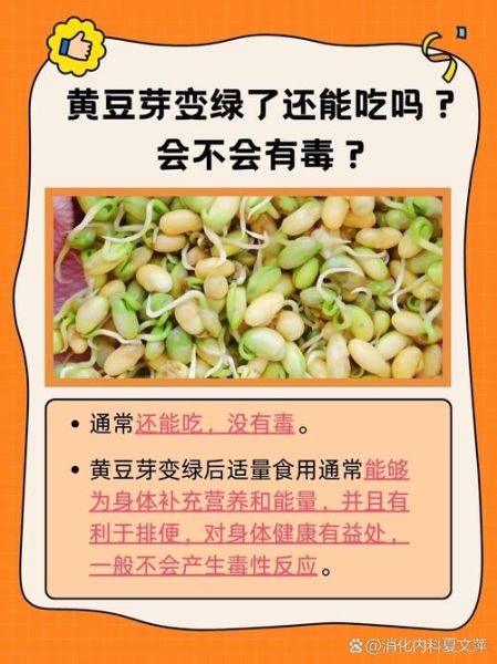 黄豆芽有毒的图片_是真的吗-第3张图片-山城妙识