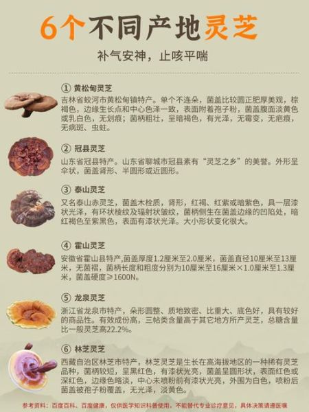 灵芝不能和什么一起吃_灵芝与哪些食物相克-第3张图片-山城妙识