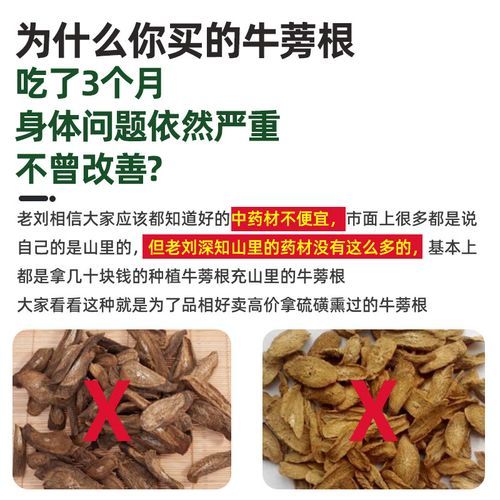 野生牛蒡长什么样_如何辨别真假野生牛蒡-第3张图片-山城妙识