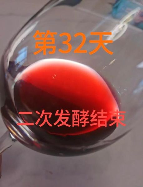 自酿葡萄酒4年还能喝不_如何判断是否变质-第2张图片-山城妙识 自酿葡萄酒4年还能喝不_如何判断是否变质-第2张图片-山城妙识