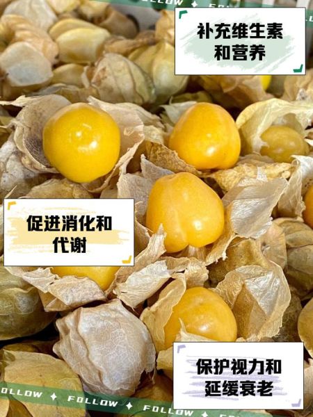 姑娘果怎么吃_姑娘果的功效与作用-第1张图片-山城妙识