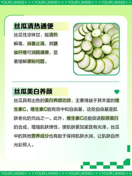 丝瓜的营养价值_丝瓜的功效与作用-第3张图片-山城妙识
