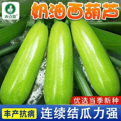 西葫芦怎么保存_西葫芦可以生吃吗-第1张图片-山城妙识