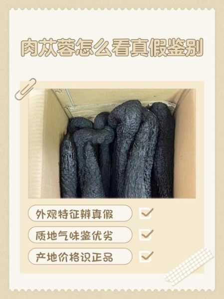 肉苁蓉图片真假鉴别_肉苁蓉图片高清细节-第3张图片-山城妙识